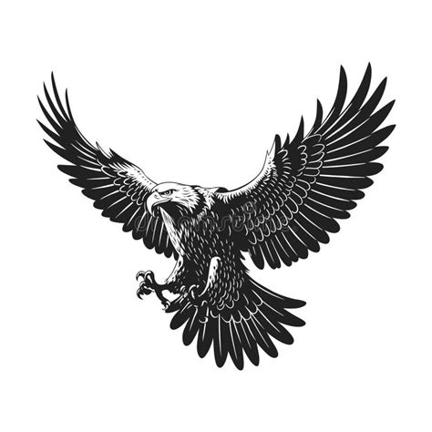 Black And White Silhouette Of A Bald Eagle In Flight Stock Illustration