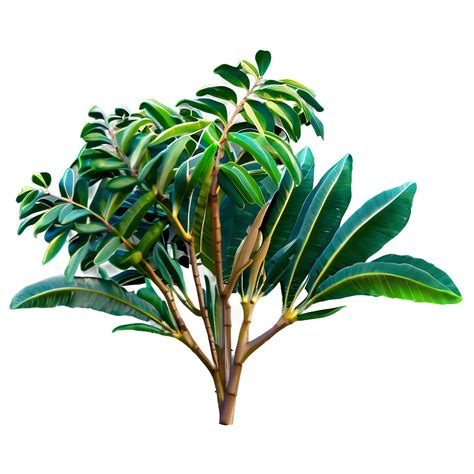 Download Native Bush Png Wallpapers Com