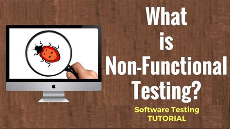 Top 13 Functional Testing Là Gì Mobitool