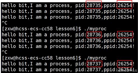 【linux】进程 Pcblinux Pcb Csdn博客