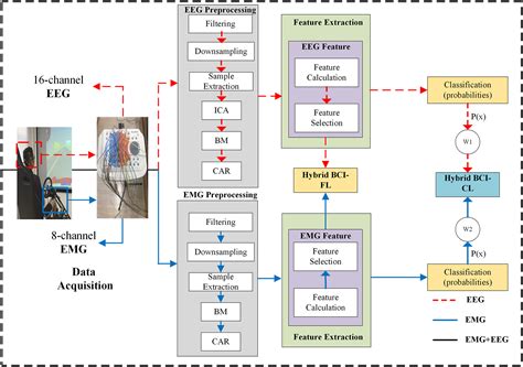 Brain‐x Vol 2 No 1