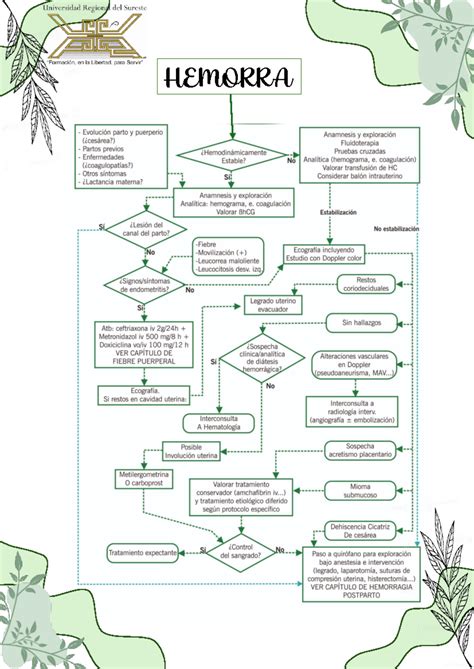 Algoritmo De Hemorragias Ginecología Y Obstetricia Hemorra Gia