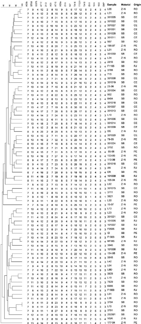 unweighted pair group method with arithmetic mean based dendrogram