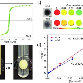 Magnetic characterization, retention and MRI phantoms of PLGA-SPIONs... | Download Scientific ...