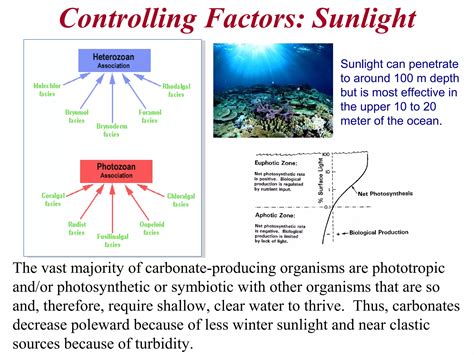Carbonate Depositional Systems Ppt