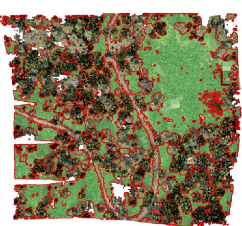 Figure 11 From Forest Inspection Dataset For Aerial Semantic