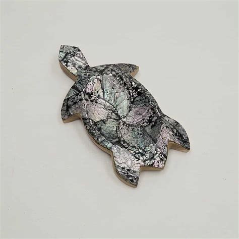 Houten Bakje Schilpad Met Schelp Volledig Lampenshop Hilversum