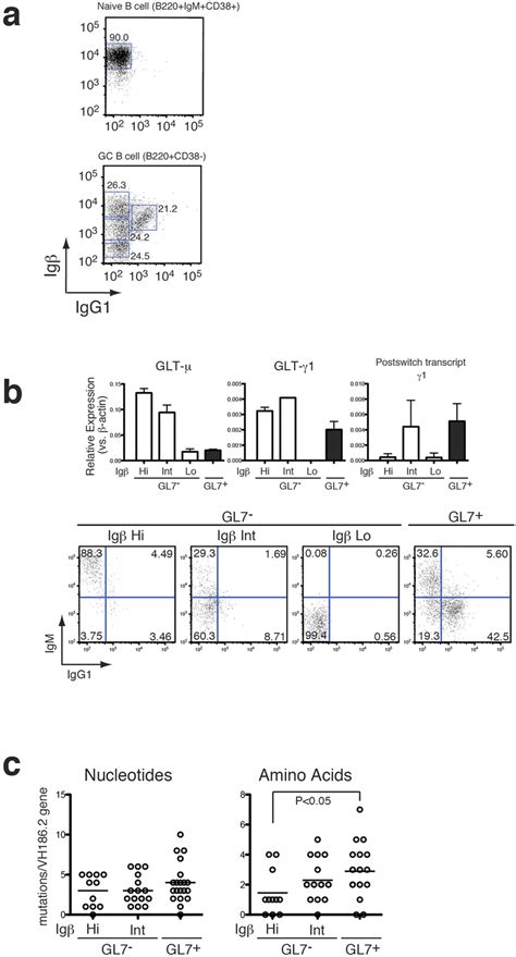 Class Switching Events In Gc B Cells A Expression Of Igg1 And Igβ In Download Scientific