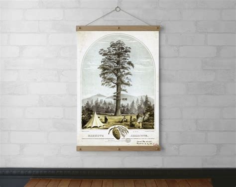 Big Tree Botanical Chart Wall Hanging Canvas Print Raw Wood Etsy