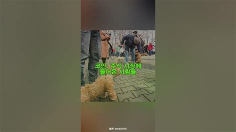 코인 주식 이런 미친 시장개미들은 꼭두각시 마리오네트 인형 같아 Youtube