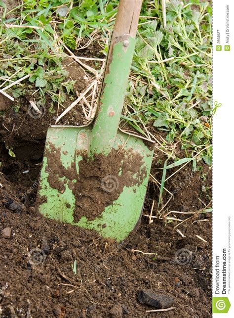 Pelle Verte Image Stock Image Du Jardin Amélioration 2593527