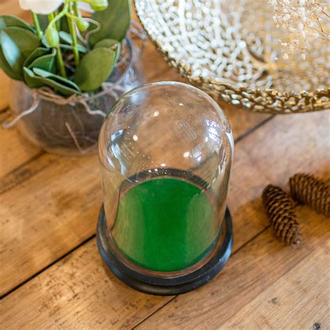 Small Antique Display Dome English Taxidermy Specimen Showcase London Fine Antiques