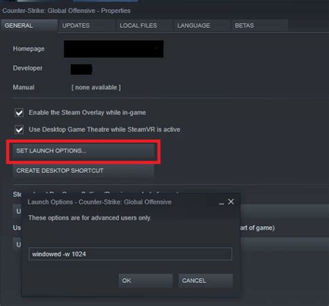 How To Open Steam Games In Windowed Mode TechCult