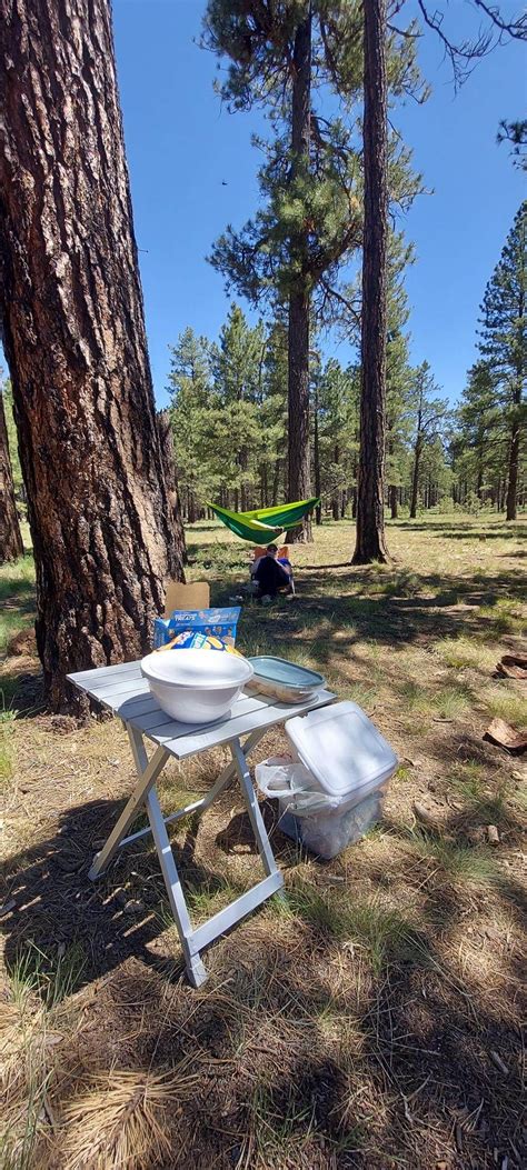 Dispersed Camping Coconino Mormon Lake Az