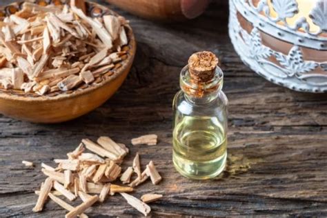 Does Cedarwood Oil Kill Fleas On Cats Vet Verified Effectiveness