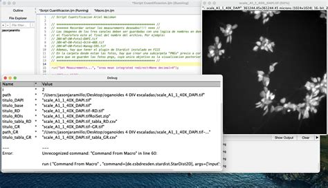 error in running imagej macro image analysis image sc forum