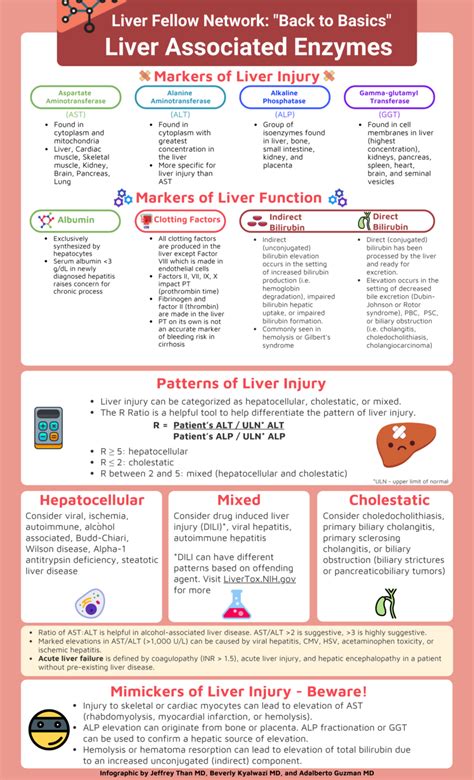 Liver Associated Enzymes Aasld