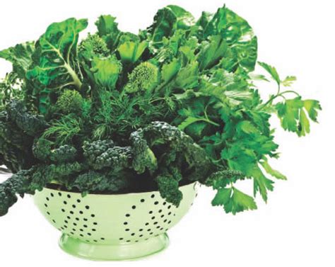 Spring Greens Magazine Thesouthern Com