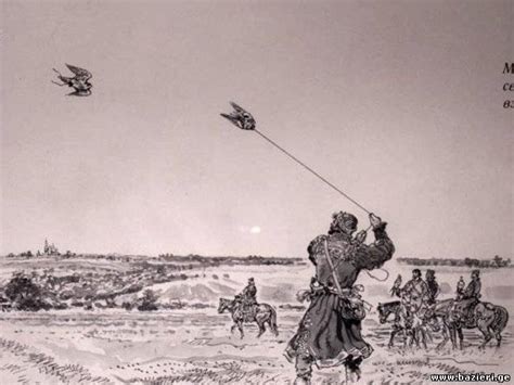 მტაცებელი ფრინველების სურათები ბაზიერი ფოტოალბომი მონადირეების საიტი