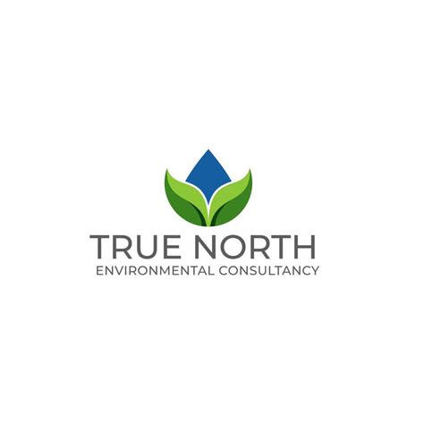 Entry 453 By Prosantops005 For Logo Design For True North