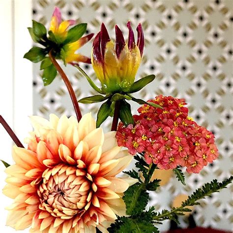 Behang Kwartet Grijsgroen • Olivia Bertus Handmade Originals