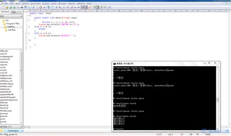 Java 控制语句 蓝桥云课