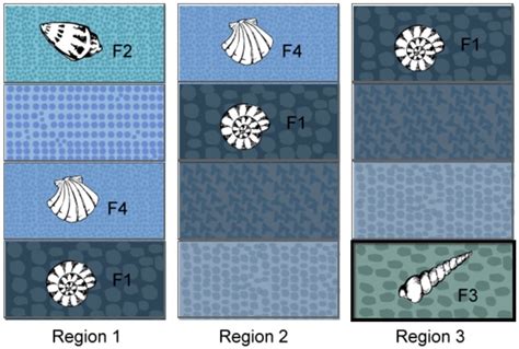 The Image Shows Core Samples Of Rock Strata Taken From Three Different