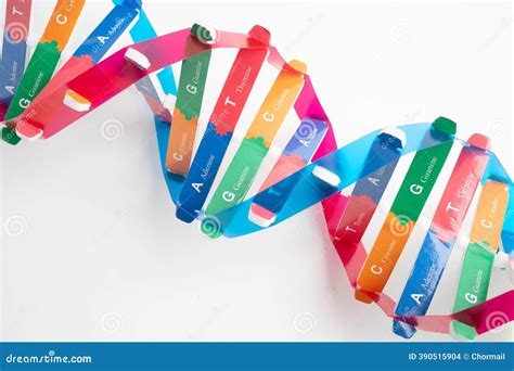 Dna Deoxyribonucleic Acid Nucleic Acid Genetic Code Cell Structure Molecule Living