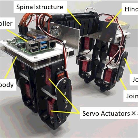 Quadruped Locomotion Robot With A Spinal Structure Download Scientific Diagram
