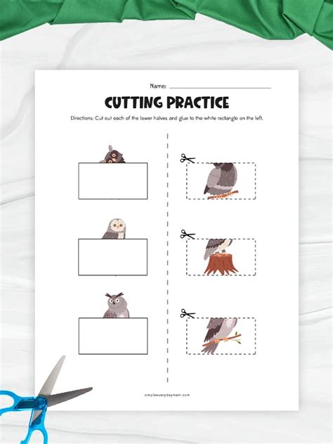 Owl Cutting Practice Worksheets Free Printables