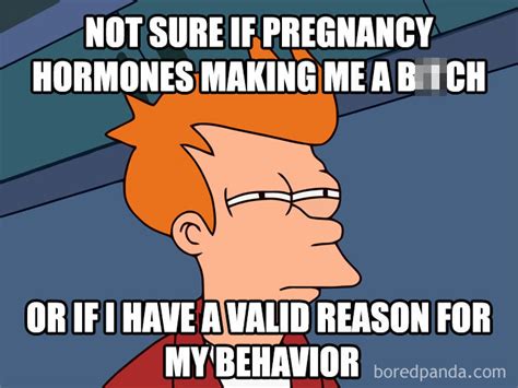 50 Of The Funniest Pregnancy Memes Ever Bored Panda
