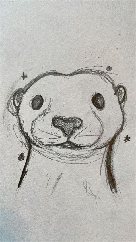 Otters Drawing Cute Things To Draw When Bored Cool Drawing Sea Otter