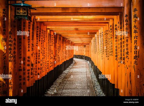 Some Of The 10000 Tori Gates At The Fushimi Inari Shrine In Kyoto