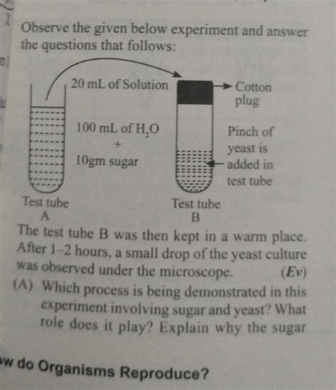 observe the given below experiment and answer the questions that follows