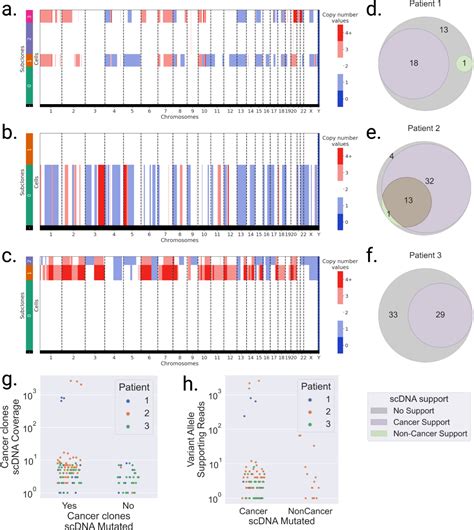 Figure 3 From De Novo Detection Of Somatic Variants In Long Read 1