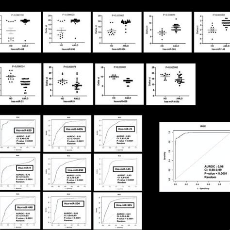 Aml Bone Marrow Circulating Mirna Signature The Dot Blot Ab And Download Scientific Diagram