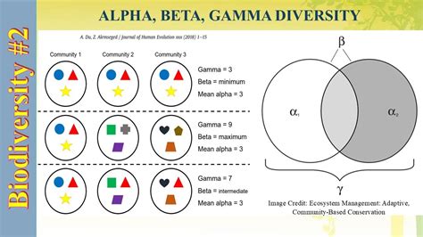 116 Biodiversity 2 Alpha Diversity Beta Diversity Gamma