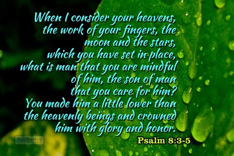 Psalm 83 5 Psalm 83 5 Niv When I Consider Your Heavens Flickr
