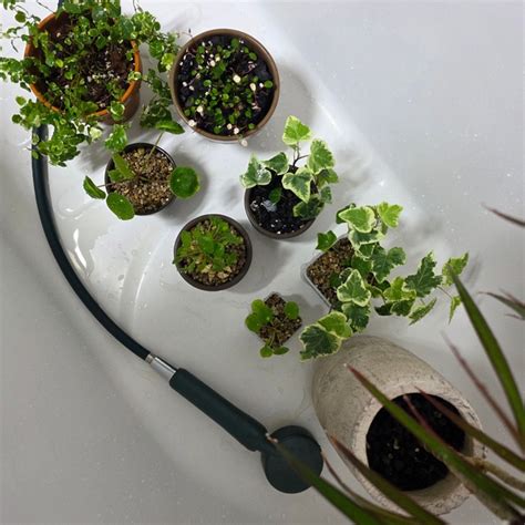 흔한주부home 님의 라이프스타일 라이프스타일 슈퍼앱 오늘의집 흔한주부home 님의 라이프스타일 라이프스타일 슈퍼앱 오늘의집