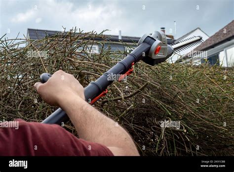 Man S Arm Holding Battery Powered Hedge Trimmers To Clip Branches And Leaves From Overgrown