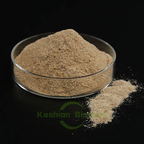 Sterilization Deodorization Septic Tank Bacteria