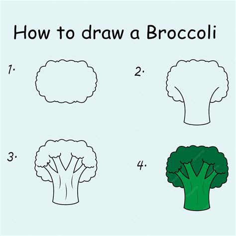 Premium Vector Step By Step To Draw A Broccoli Drawing Tutorial A Broccoli Drawing Lesson