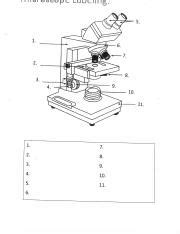 Microscope Labeling Practice Pdf Course Hero Microscope Labeling Practice Pdf Course Hero
