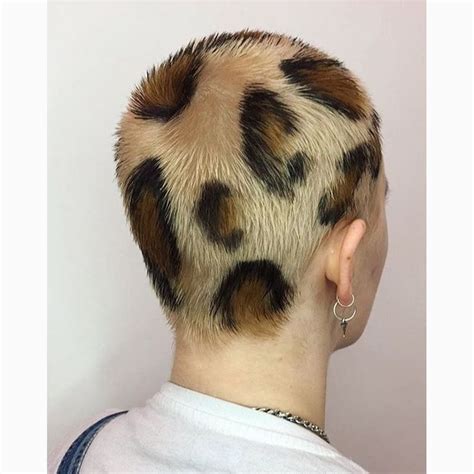 Zebra Print Hair Dye