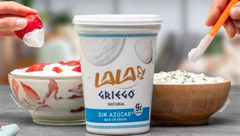 Yogurt Griego Sin Azucar Y Sin Lactosa At Jesse Oliver Blog