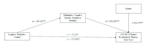 The Mediational Model Of Maladaptive Cognitive Emotion Regulation Download Scientific Diagram