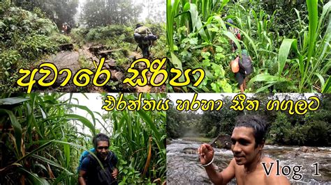 අවාරයේ සිරිපා කරුණාව 1🧡දිය ඇලි පාරාදීසයක් මැදින් සීත ගගුලට ගියා එරත්නය හරහා 🧡sri Pada Adams