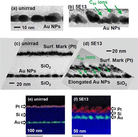Cross-sectional TEM images of Au NPs embedded in SiO2 before (a,c,e)... | Download Scientific ...