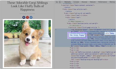 Check Website Accessibility Manual Checks And Tools To Use In 2025