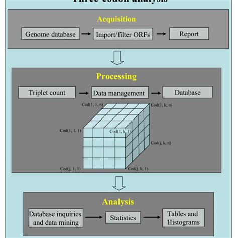 Schematic Representation Of The Bioinformatics System Gene Sequences Download Scientific